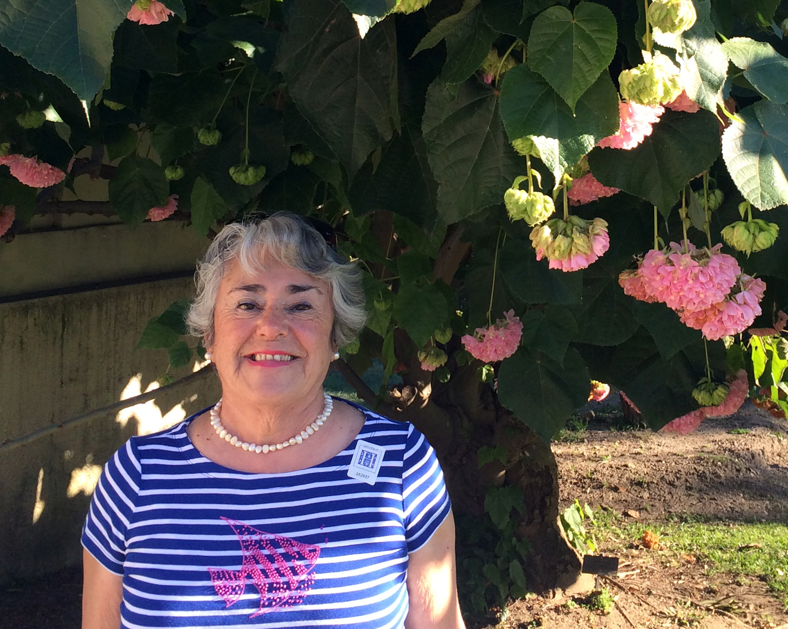 Services | Alma Gilbert